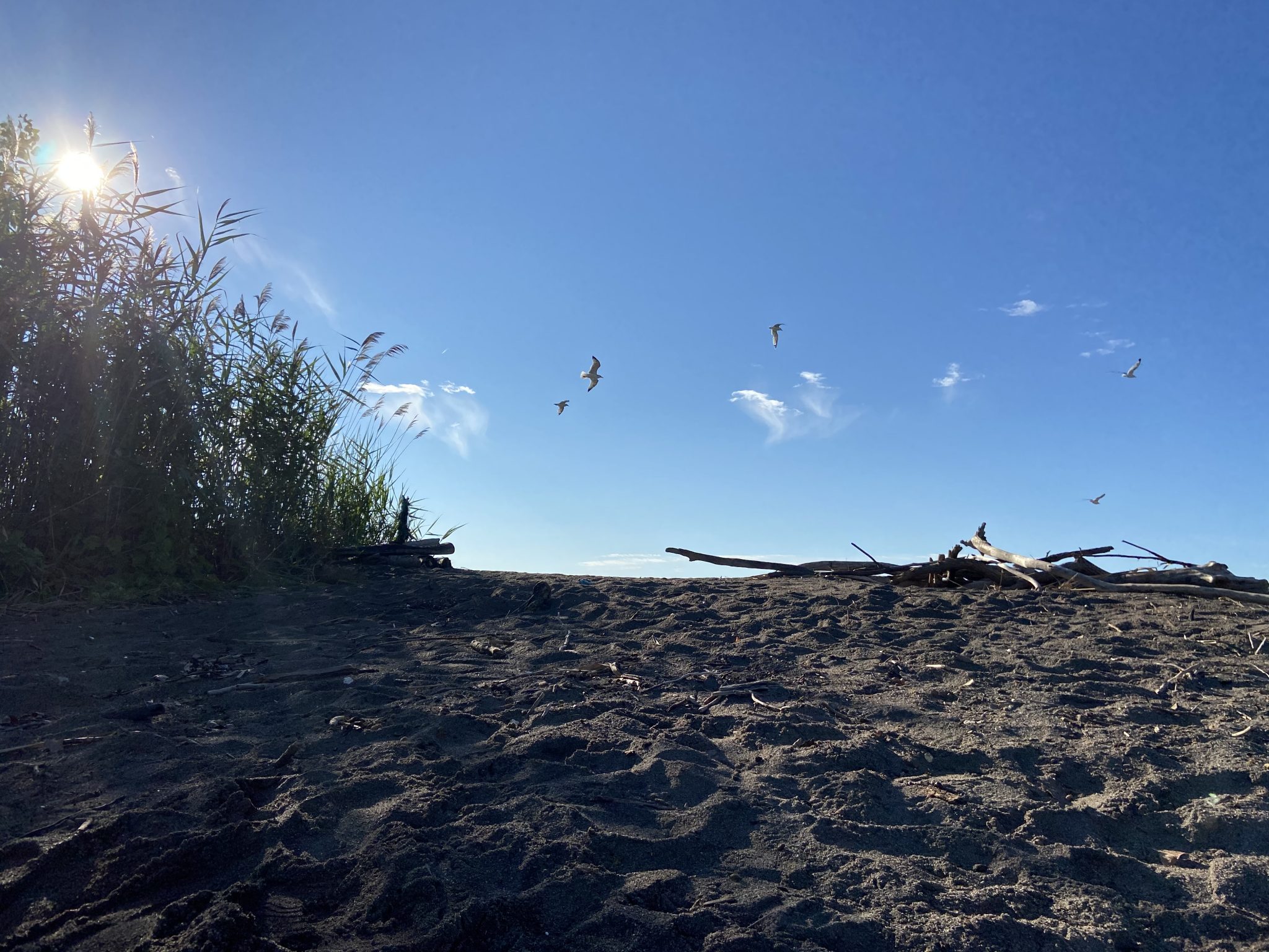 Wheatley Provincial Park - RV Places To Go