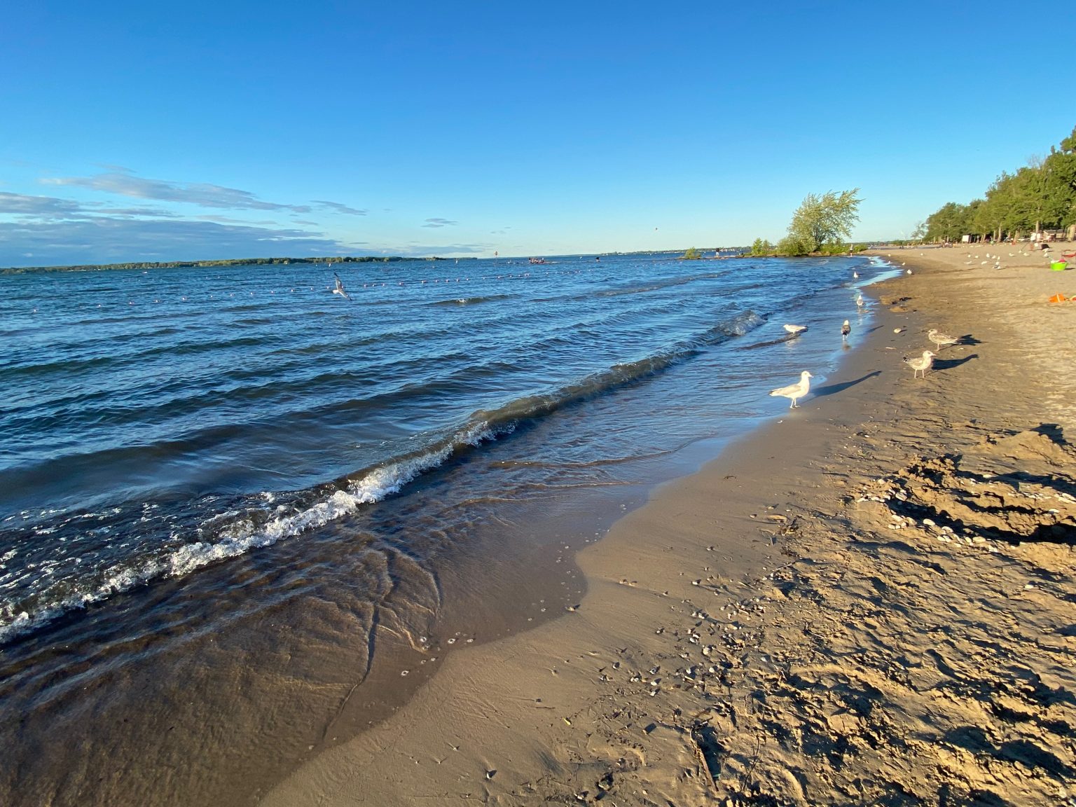 Sibbald Point Provincial Park - RV Places To Go
