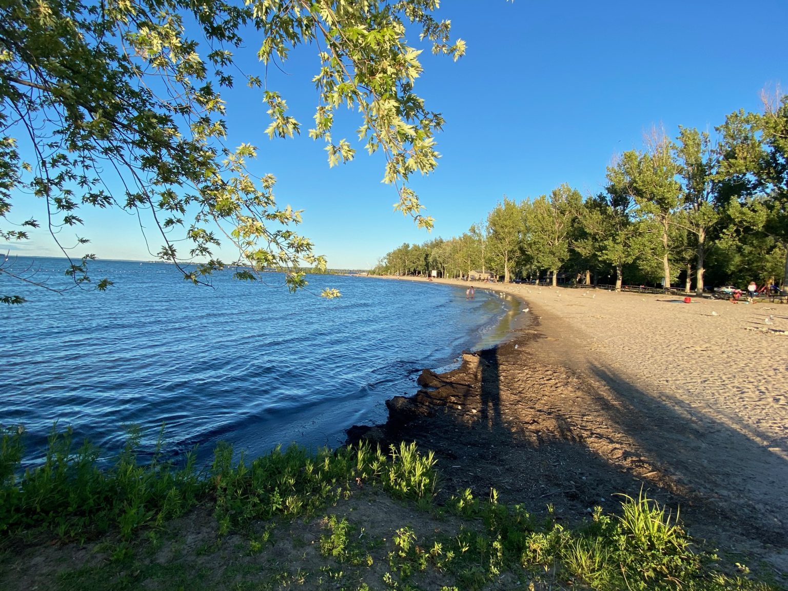 Sibbald Point Provincial Park - RV Places To Go