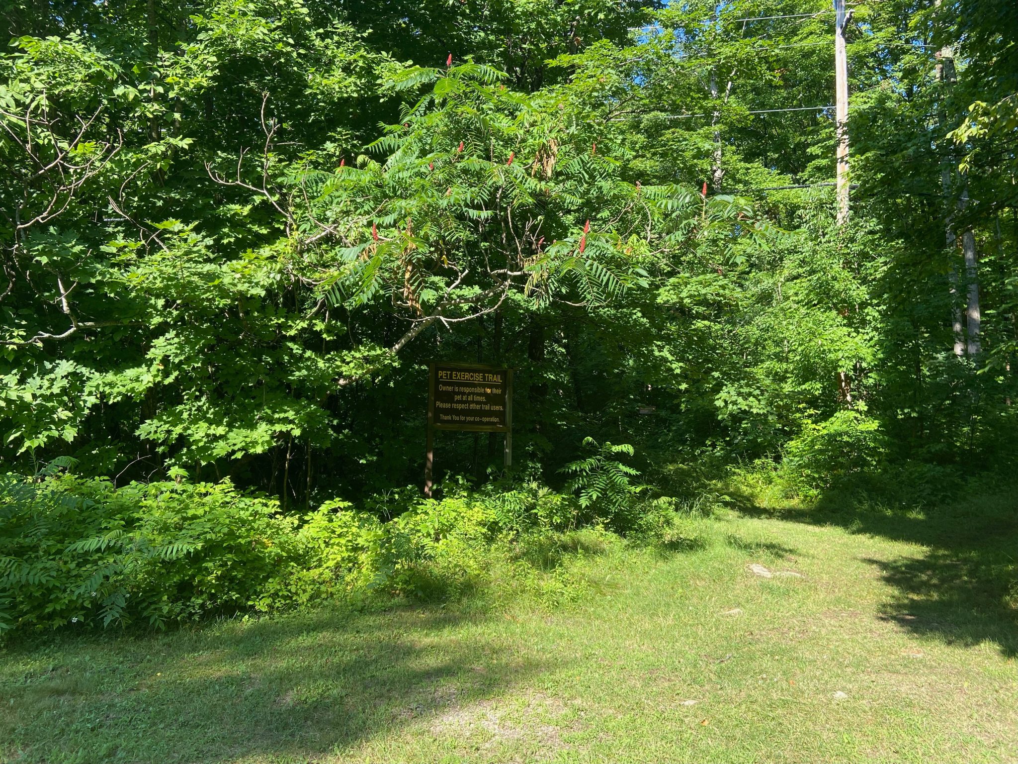 Bon Echo Provincial Park - RV Places To Go