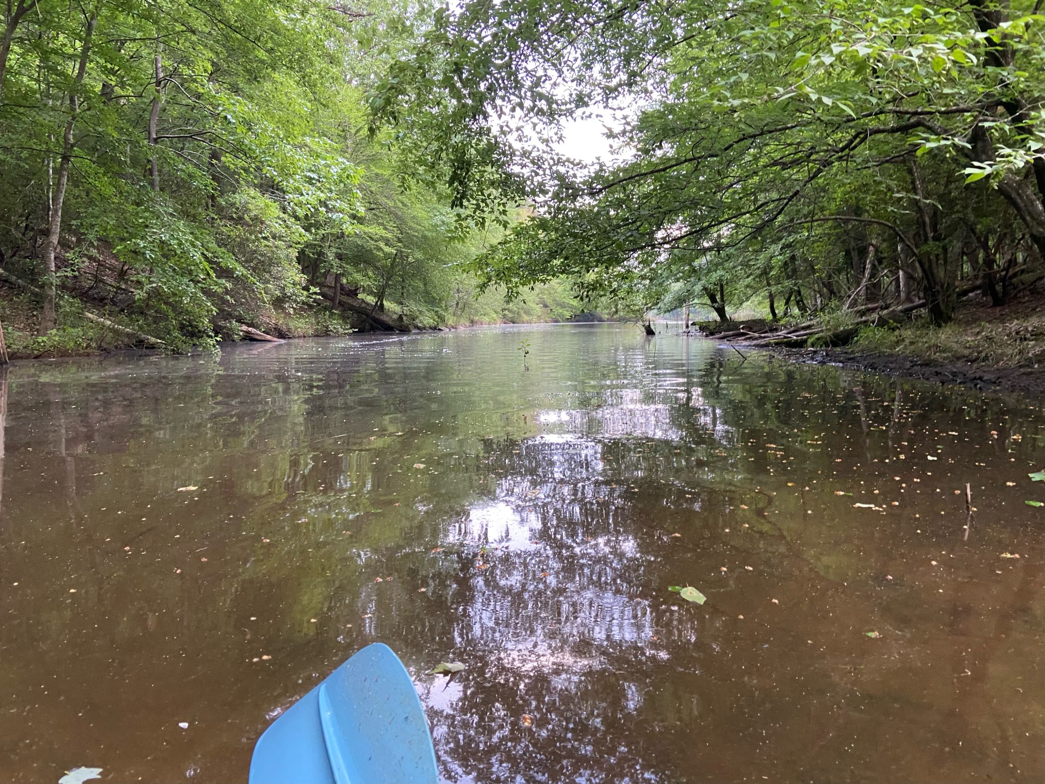 Croft State Park - RV Places To Go